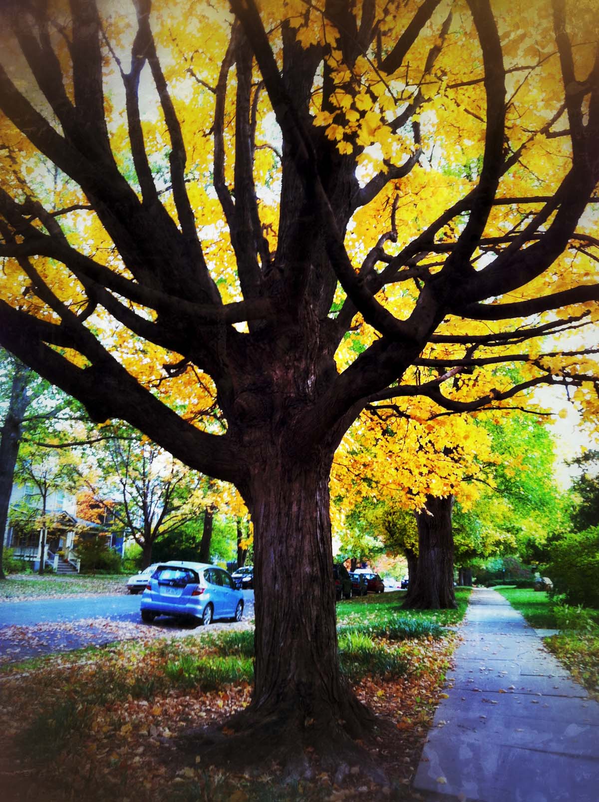 Photo gallery: Kansas in autumn, 2011 | News, Sports, Jobs - Lawrence ...